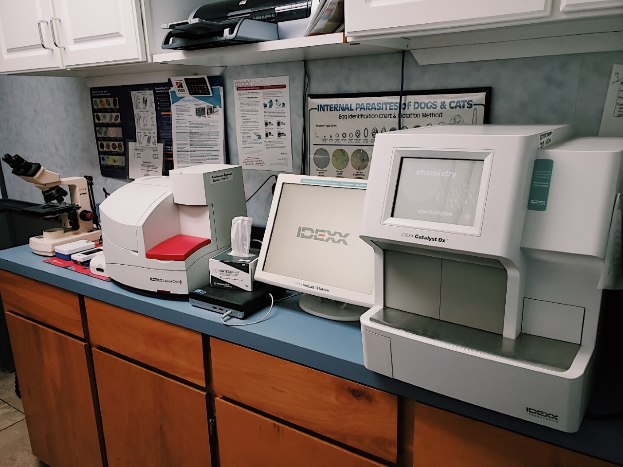 In-house Laboratory in Nacogdoches, TX | North Street Veterinary Clinic